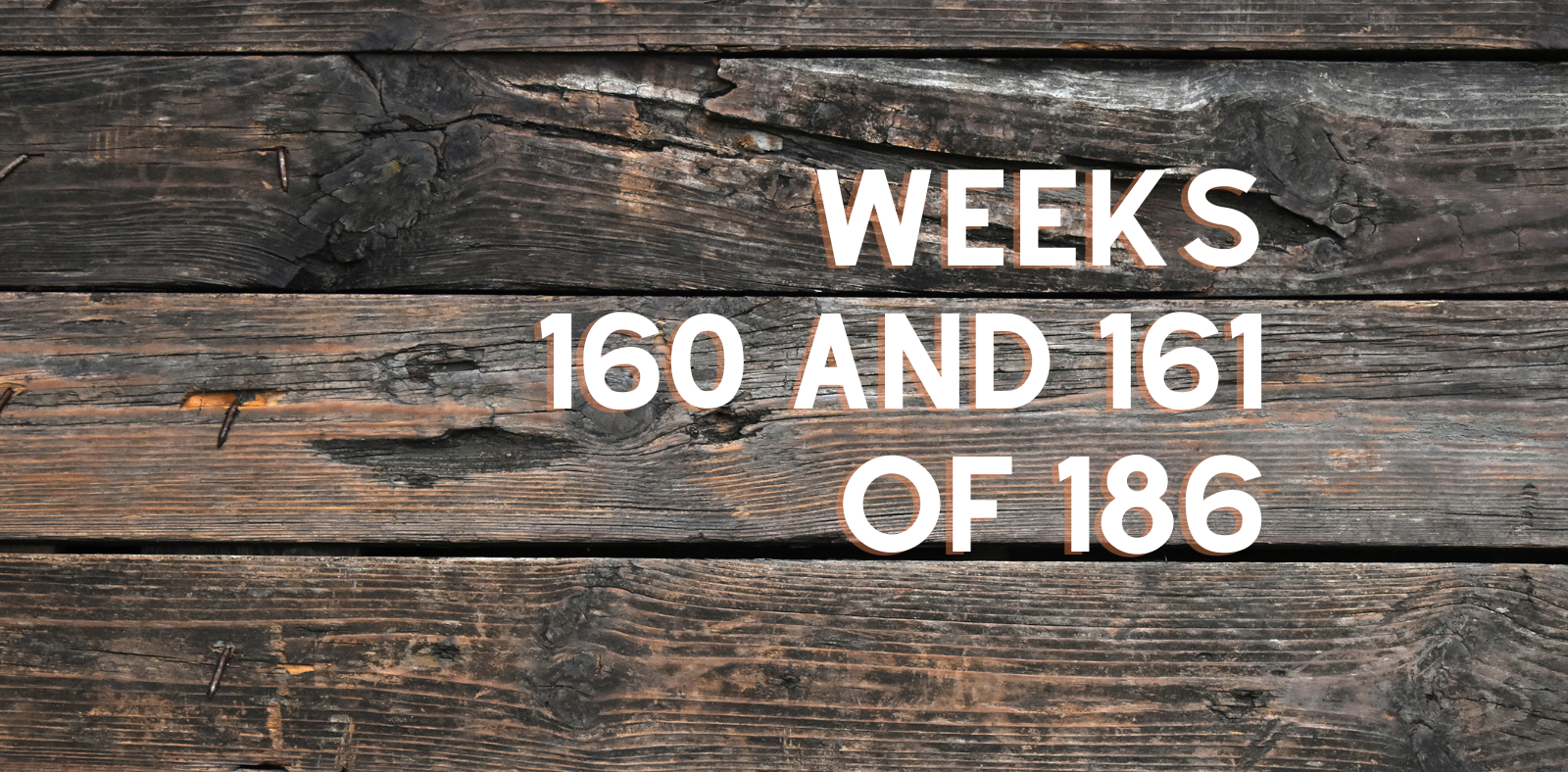 Weeks 160 and 161 of 186 (BMAL 887) - Robert Forto
