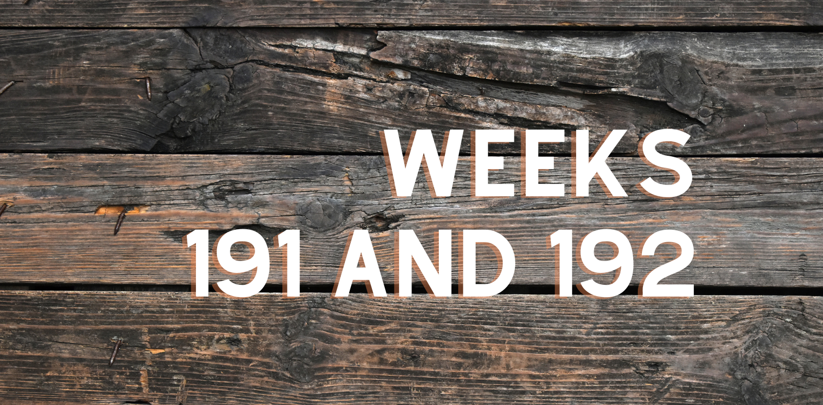 Weeks 191 and 192 (BMAL 888) - Robert Forto