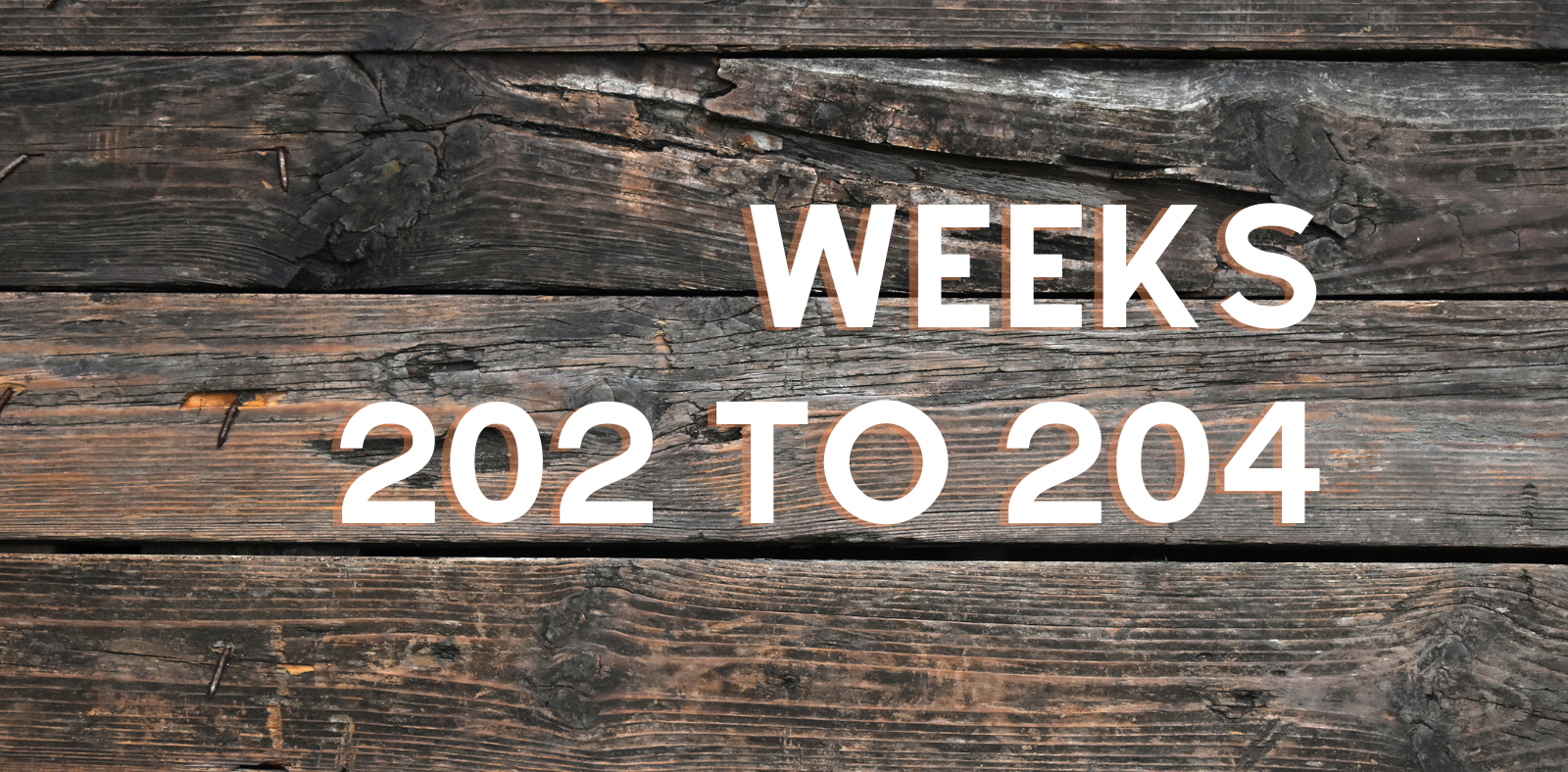 Weeks 202 to 204 (BMAL 888) - Robert Forto