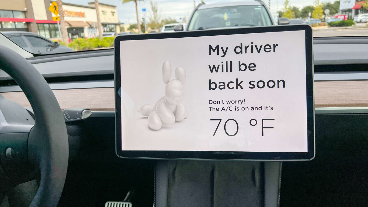 Tesla Dog Mode Updates for the Model Y: Lessons From an Alaskan Dog ...