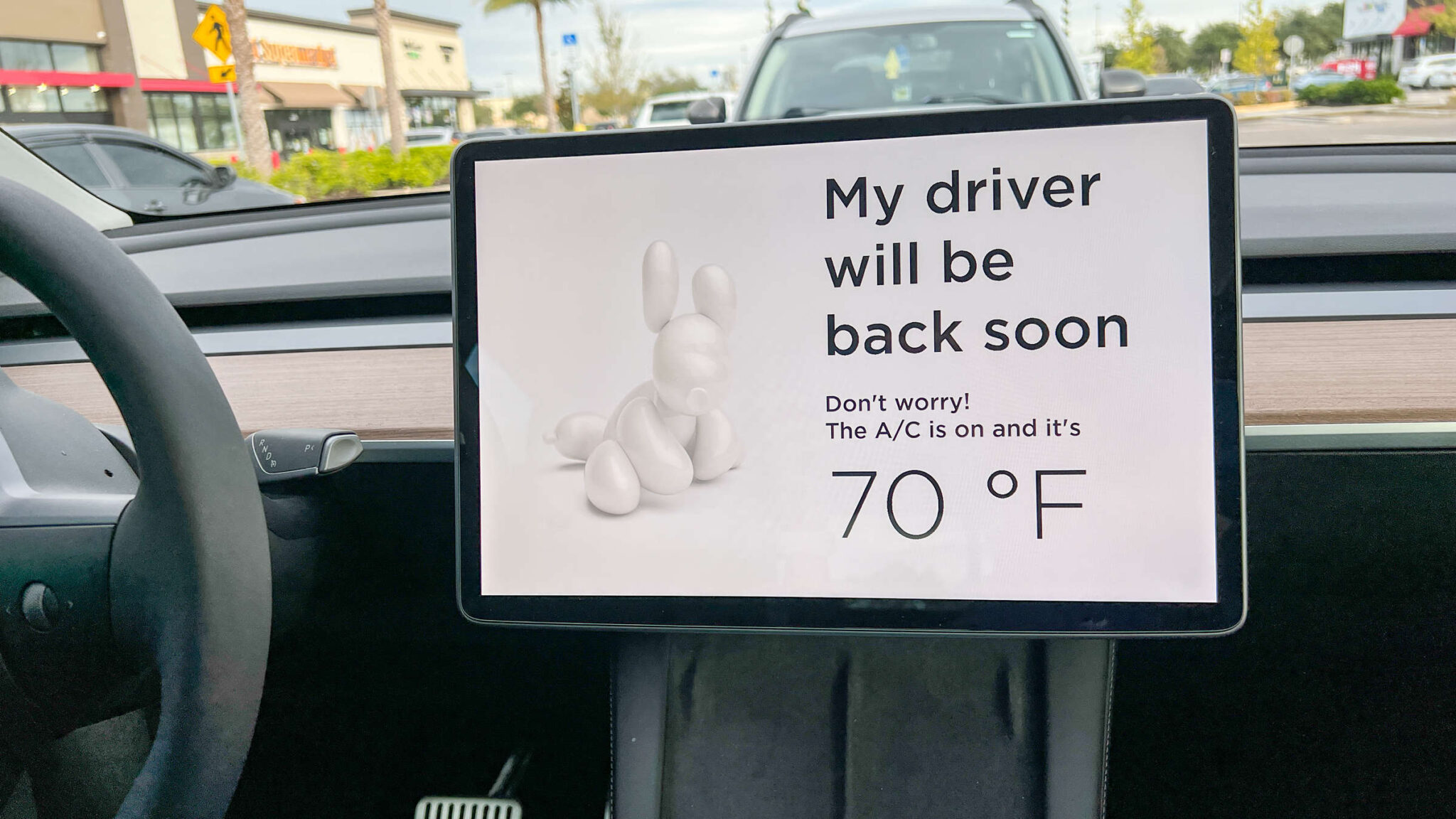 Tesla Dog Mode Updates for the Model Y: Lessons From an Alaskan Dog ...